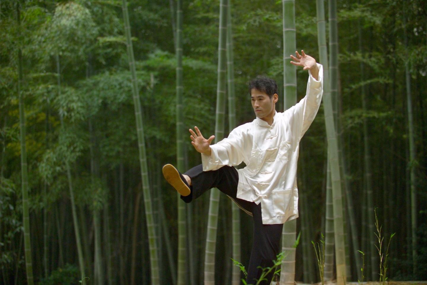 "太極拳"（a kind of traditional Chinese shadow boxing）