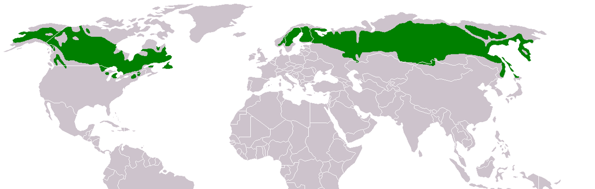 To print the story please do so via the link in the story toolbar.