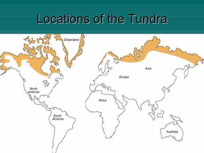 Tundra regions range all around the northern hemispheres but the most ...