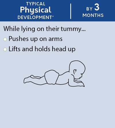 2-4 months - Prone, lifts chest with arm support