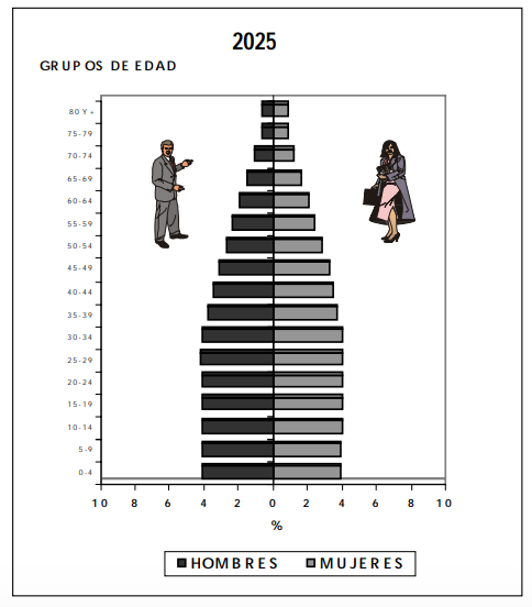 2025 (Future)