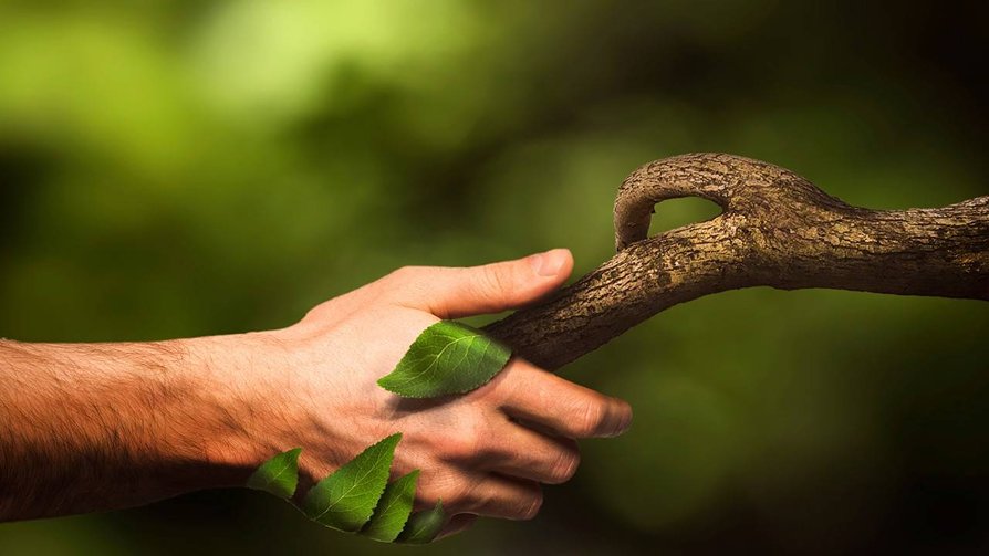 HEI: Human-environmental interactions can be defined as interactions ...