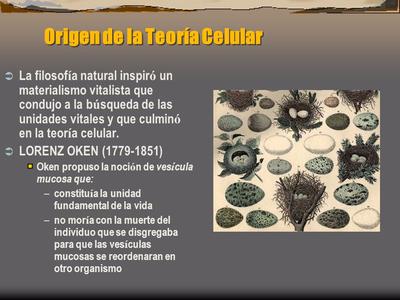 http://slideplayer.es/slide/5401935/17/images/28/Origen+de+la+Teor%C3 ...