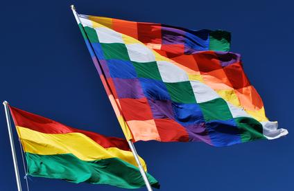 The new Bolivian constitution establishes the Wiphala as the dual flag ...