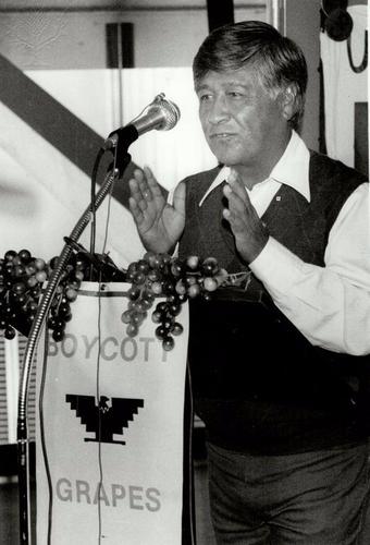 Cesar Chavez 1965 Grape boycott