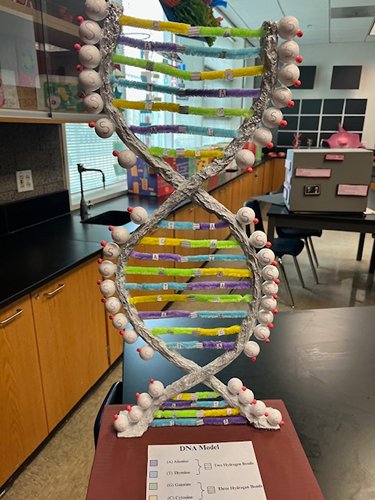 first Model Of DNA