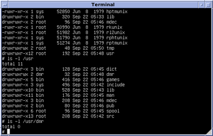 Terminal com codigo - UNIX