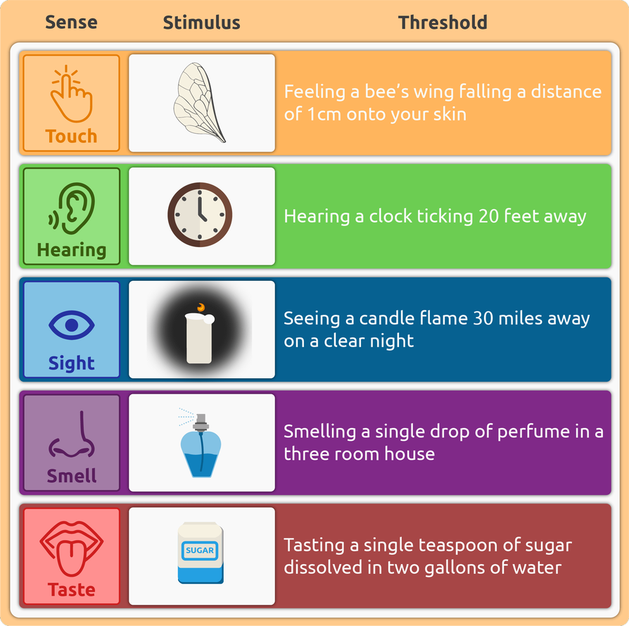 An image that shows our absolute thresholds!