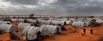 This is what a refugee camp looks like.