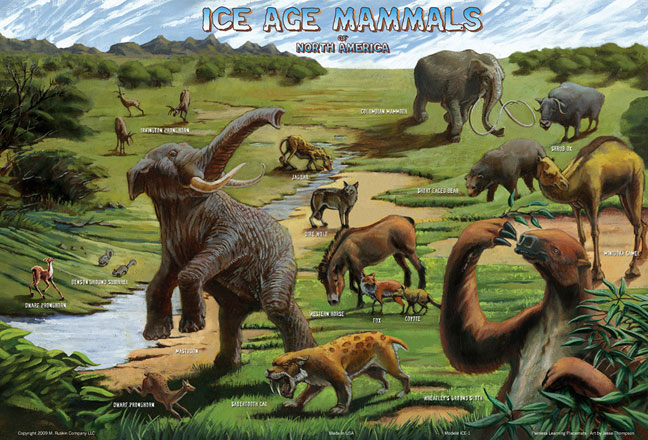 Phanerozoic Eon, Cenozoic Era, and Tertiary Period 65 Million years ago ...
