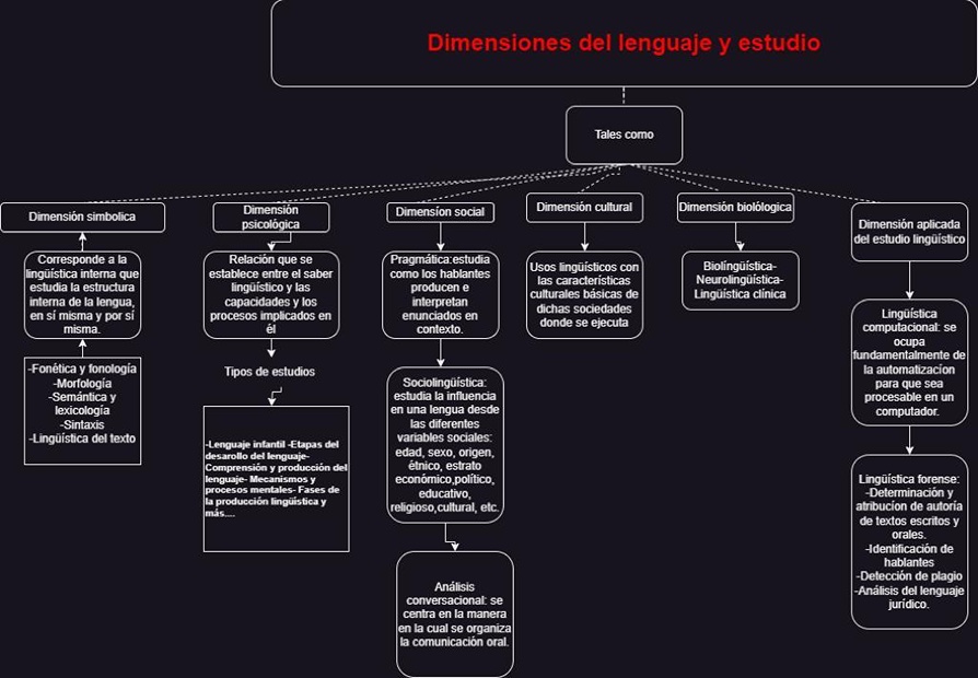 DIMENSIONES DEL LENGUAJE.