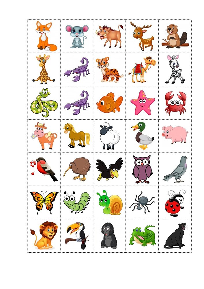 Szerinted milyen beszédes neveket lehetne adni az állatoknak?