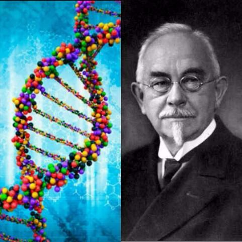 1909- Wilhelm Johannsen uses the word " gene" to describe unit of ...