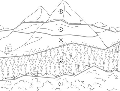 Hoogtegordels op een berg