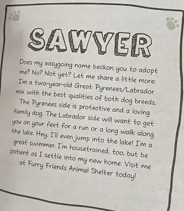 Pet Adoption Profile written by Lety