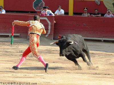Another popular sport in Peru, bullfighting often attracts many ...