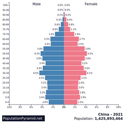 A Population Pyramid