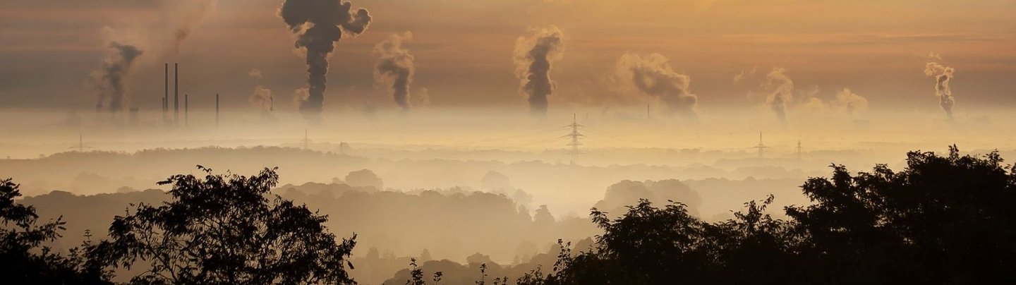 To print the story please do so via the link in the story toolbar.