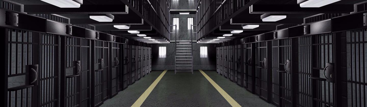 Crime, Punishment and the American Prison system