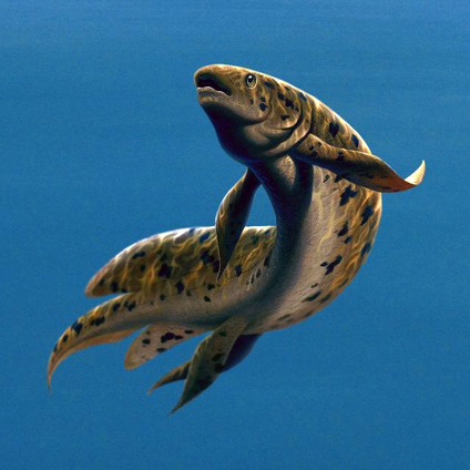419 million years ago: This is a Dipnoi, an ancient relative of frogs ...