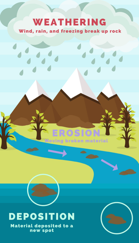 https://protectwiwaterways.org/learn-about-stormwater/cover-bare-soil ...