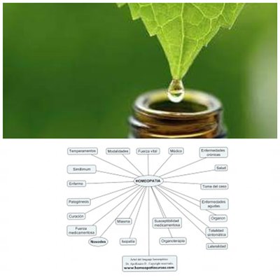Diagnóstico y tratamiento. Para el diagnóstico homeopático se utiliza ...