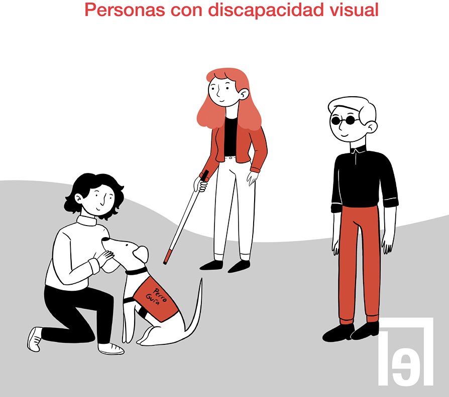 Discapacidad Visual