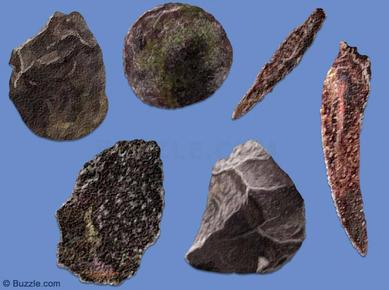 Tools that Homo habilis tools