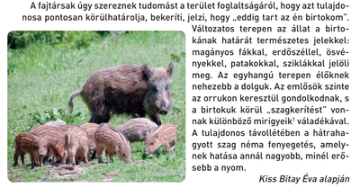 Olvasd újra a harmadik bekezdést!