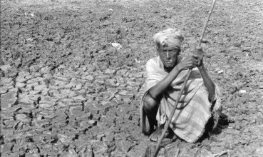 Then, when the drought continued, the British government did not import ...