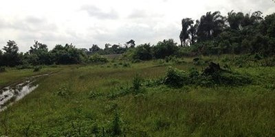 An example of grassy land in a part of Lagos (Dennis Isong , 9 February ...