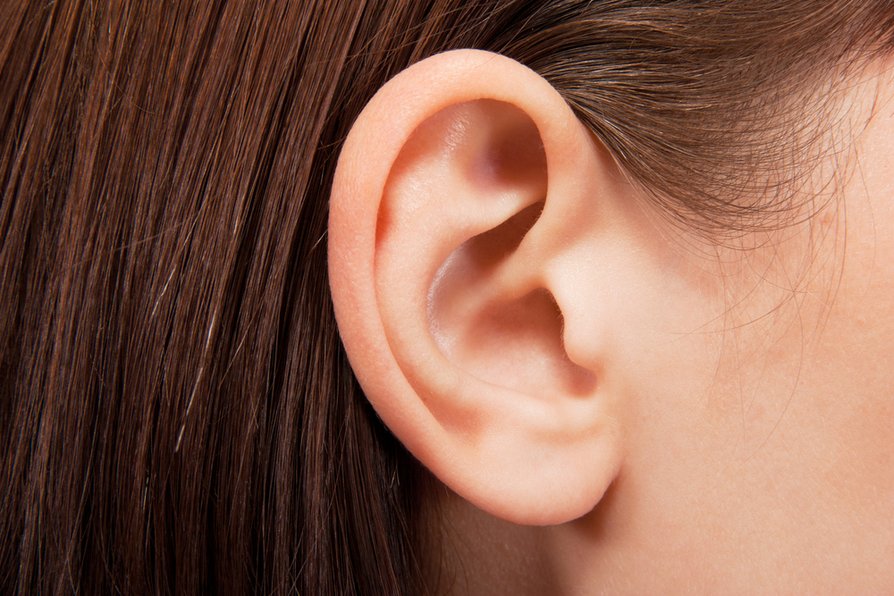 http://www.livescience.com/images/i/000/078/567/original/human-ear.jpg