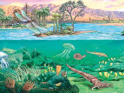 The Paleozoic era is made up of 6 periods, which are the a Cambrian ...
