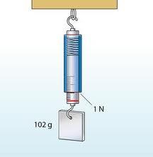 ll newton (simbolo: N) è l'unità di misura della forza; fa parte delle ...