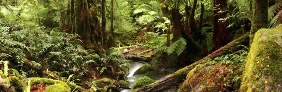 Image credit: Exceptional Travel.com