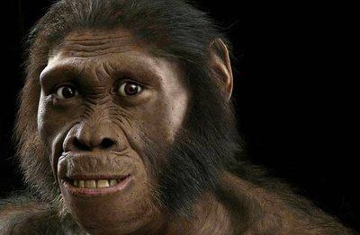 Los Australopithecus