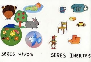 En la naturaleza encontramos seres vivos y no vivos: