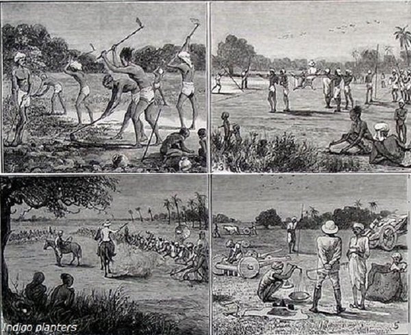 Indian Farmers During Colonial Rule Modern Indian History Images