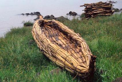 Chapter 7 - The members of the group begin to construct canoes made of ...