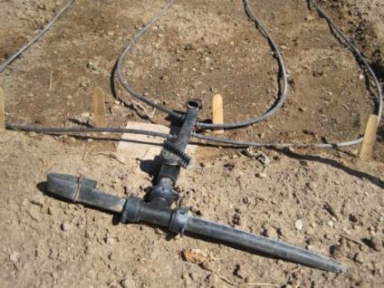 Zeni diverted an irrigation system and flooded the desert with water so ...