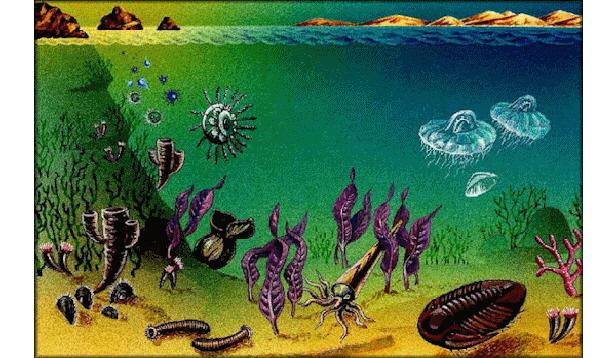 1st Era of the Phanerozoic Eon. This was the Paleozoic Era. Started 542 ...