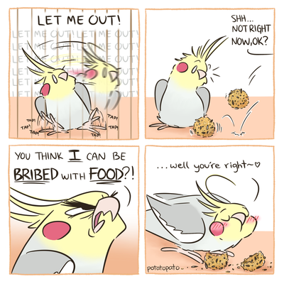 Wanting to go somewhere but bribing stops them