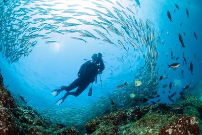 Additionally, the biological processes in the oceans influence the ...