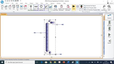 11) Seleccionar la flecha negra y correr el modelo de simulación.