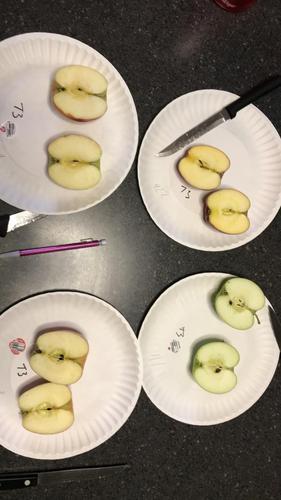 Trial Three, 15 mins of Exposure