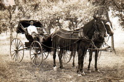 In the 19th century horses and buggies were the main source of ...