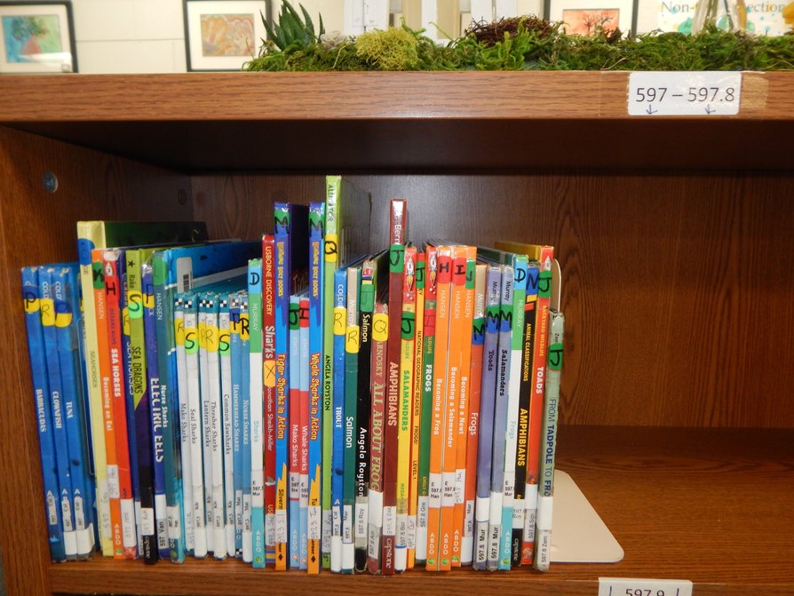 The non fiction section of the library is arranged in numerical (number ...