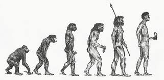 Nick-named the 'wise man' First hominid to develop complex verbal [then ...