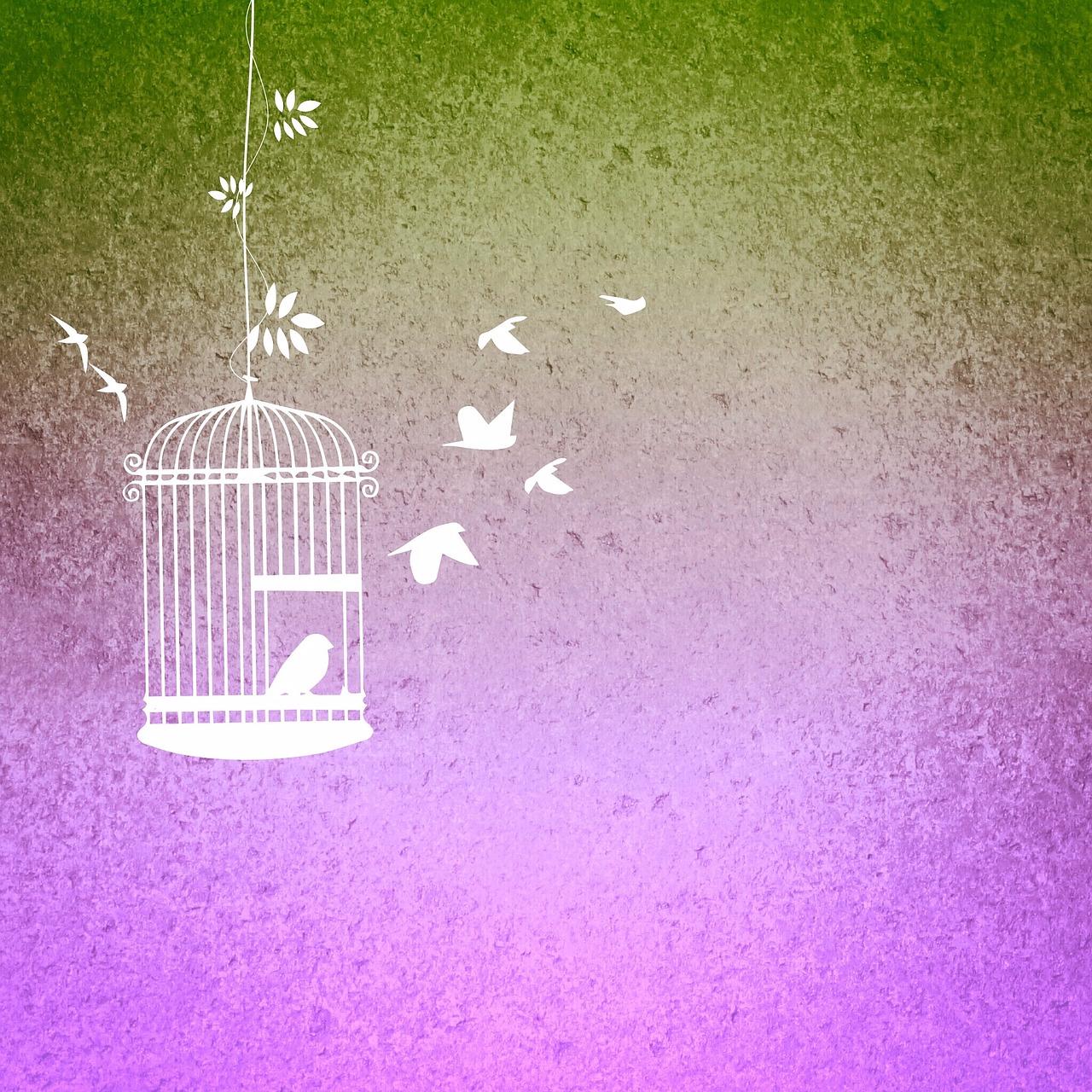 CC 0 Public Domain