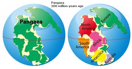 Breakup of supercontinent Pangaea begins: 270,000,000 years ago